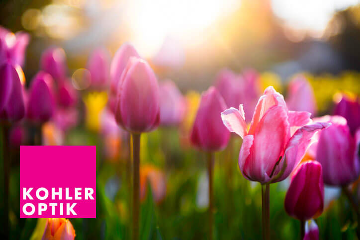 Ihr Familien-Optiker aus Oensingen | Kohler Optik AG